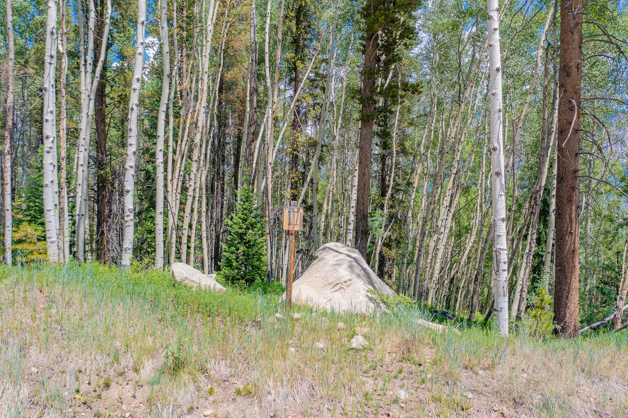 For Sale: 841 Hidden Mine Road | Channing Boucher's Crested Butte Real ...